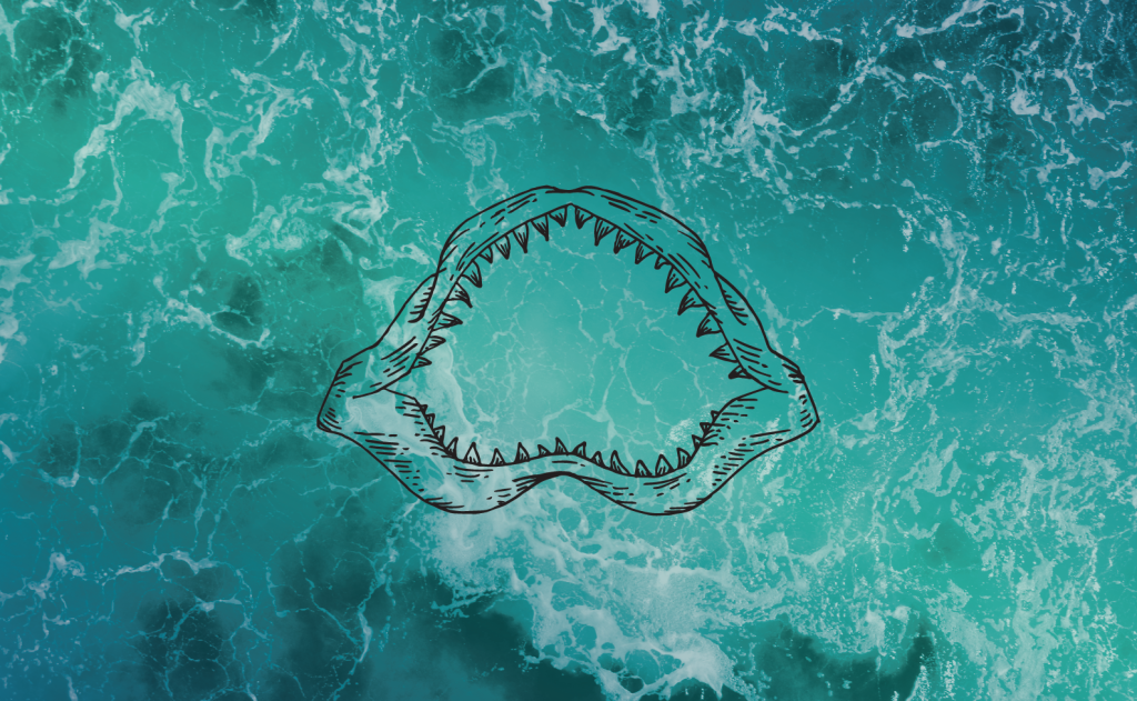 Clark the Shark Attorney • Home